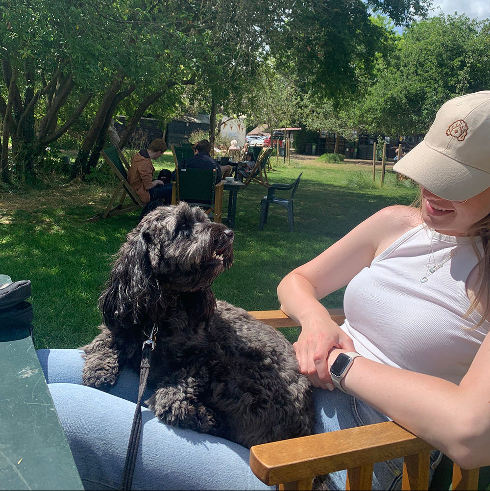 Contact Us | Taylor & Floof - Customer Support & Inquiries – Taylor and Floof