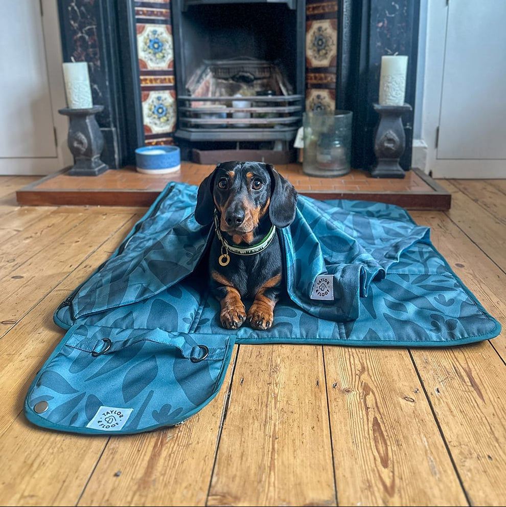 Pitta Pocket: Cozy, Portable Dog Blanket & Settle Mat in One | Dog ...