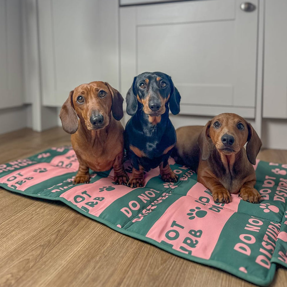 Do Not Disturb Dog Settle Mat – Training & Travel Mats | Taylor & Floof ...